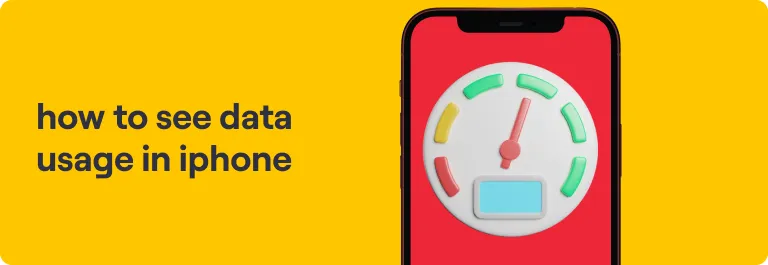 How to See Your Mobile Data Usage in iPhone | Vi Blog